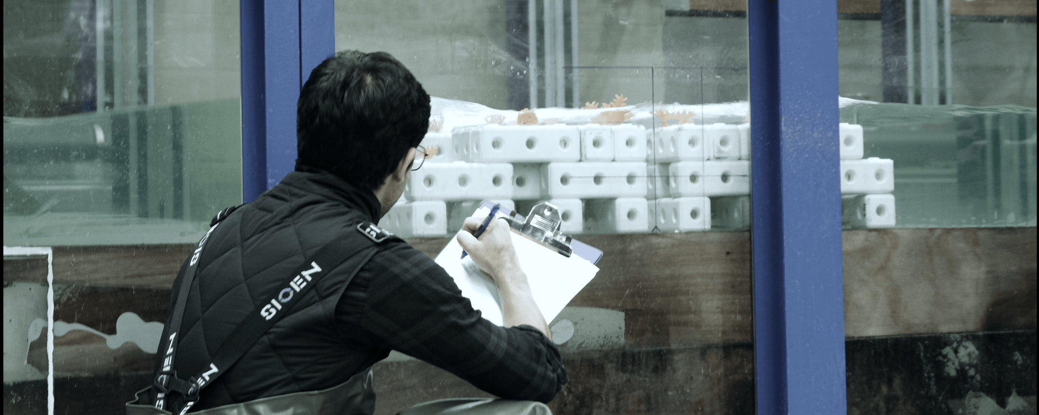 What we do – Reefy