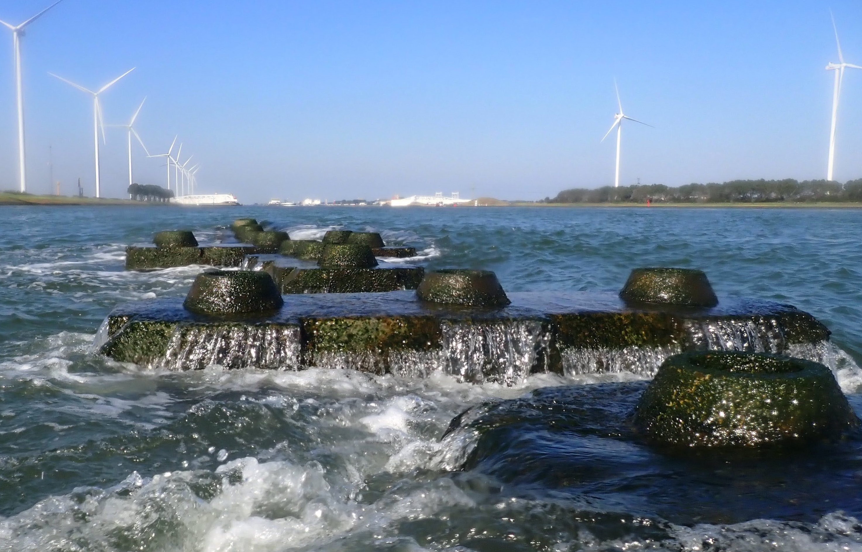 Reefy – Innovation for nature